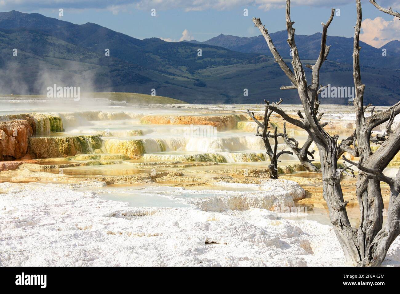 The amazing natural beauty of Yellowstone National Park Stock Photo - Alamy