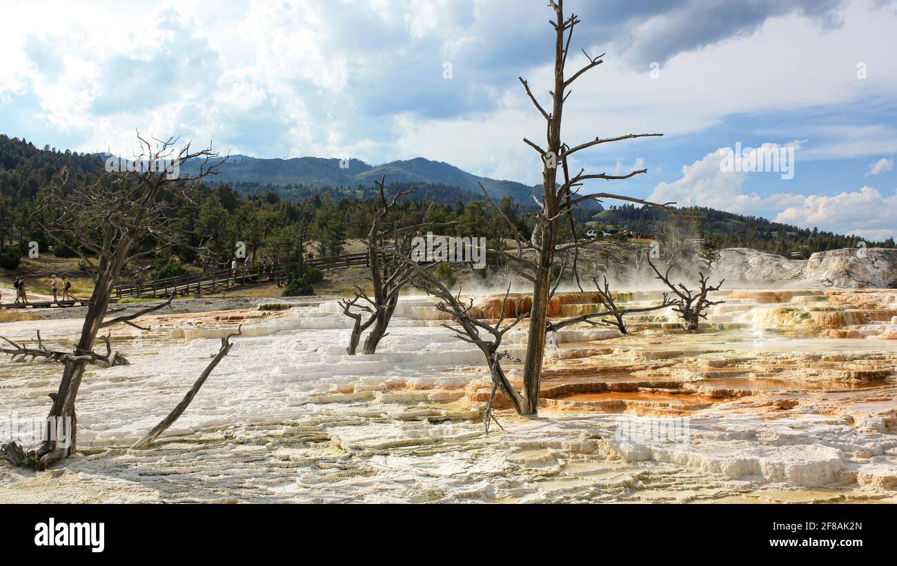 The amazing natural beauty of Yellowstone National Park Stock Photo - Alamy