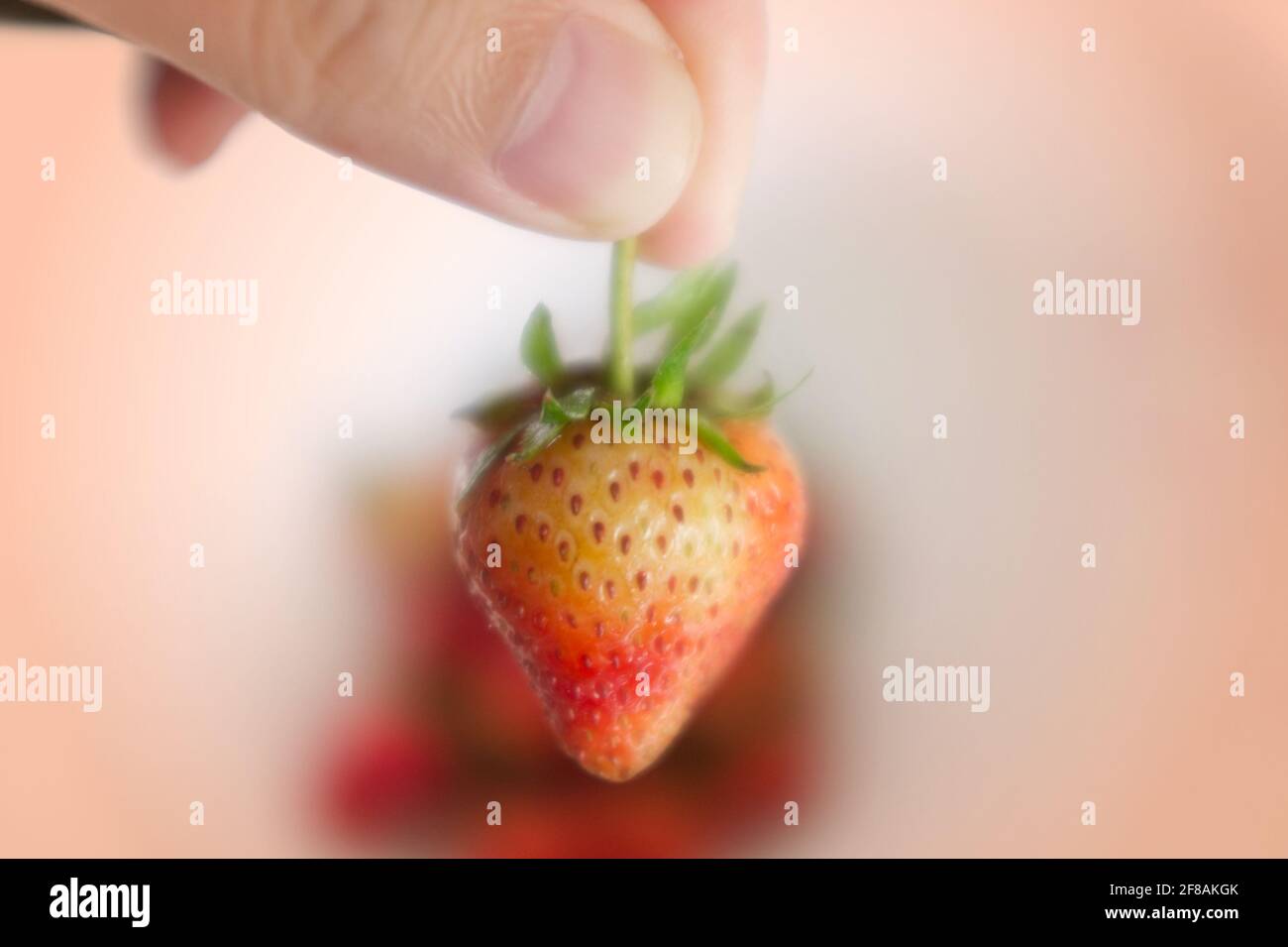 Hand holding strawberry Stock Photo - Alamy
