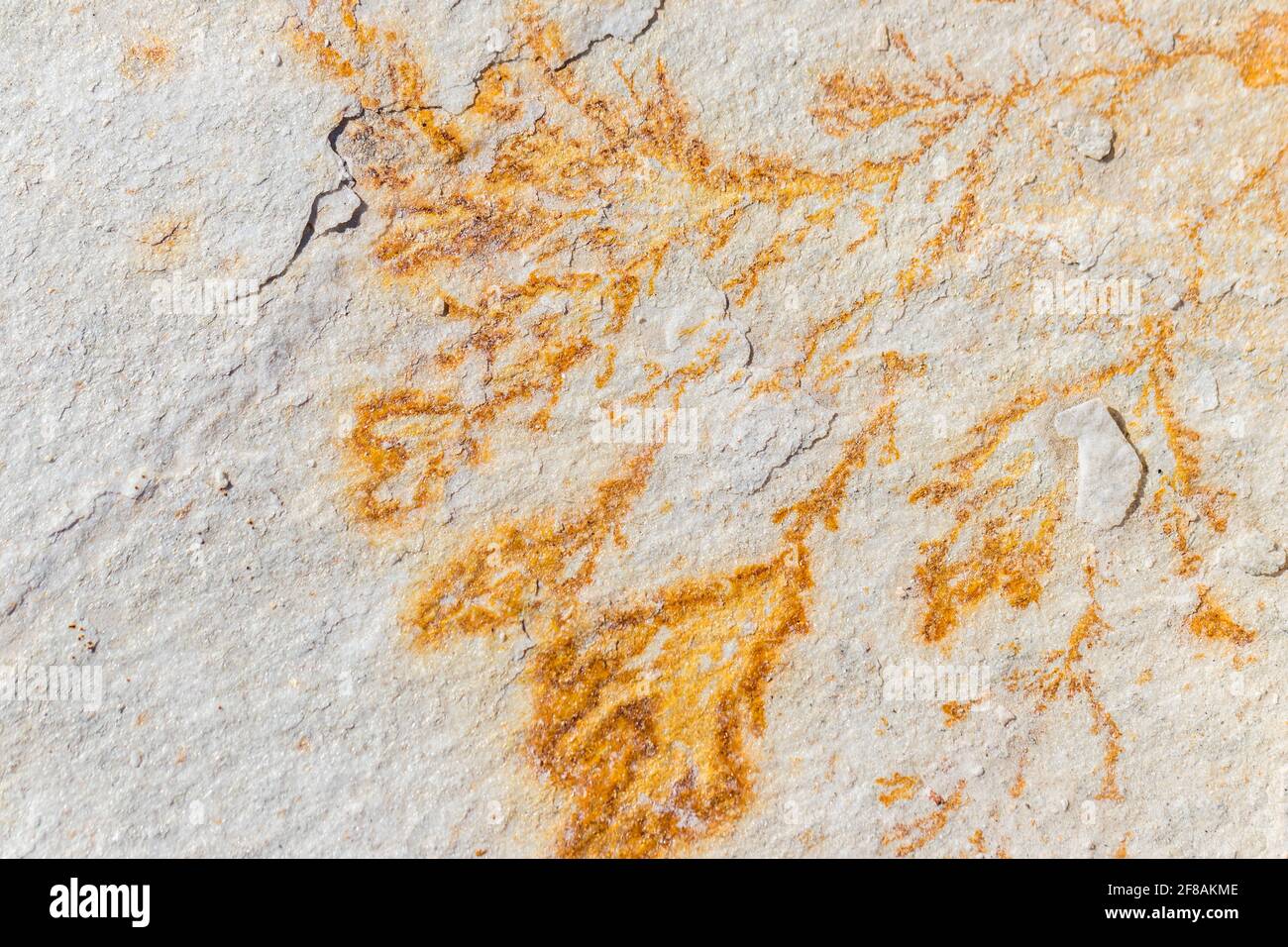 Beige weathered rock texture for backgrounds Stock Photo - Alamy