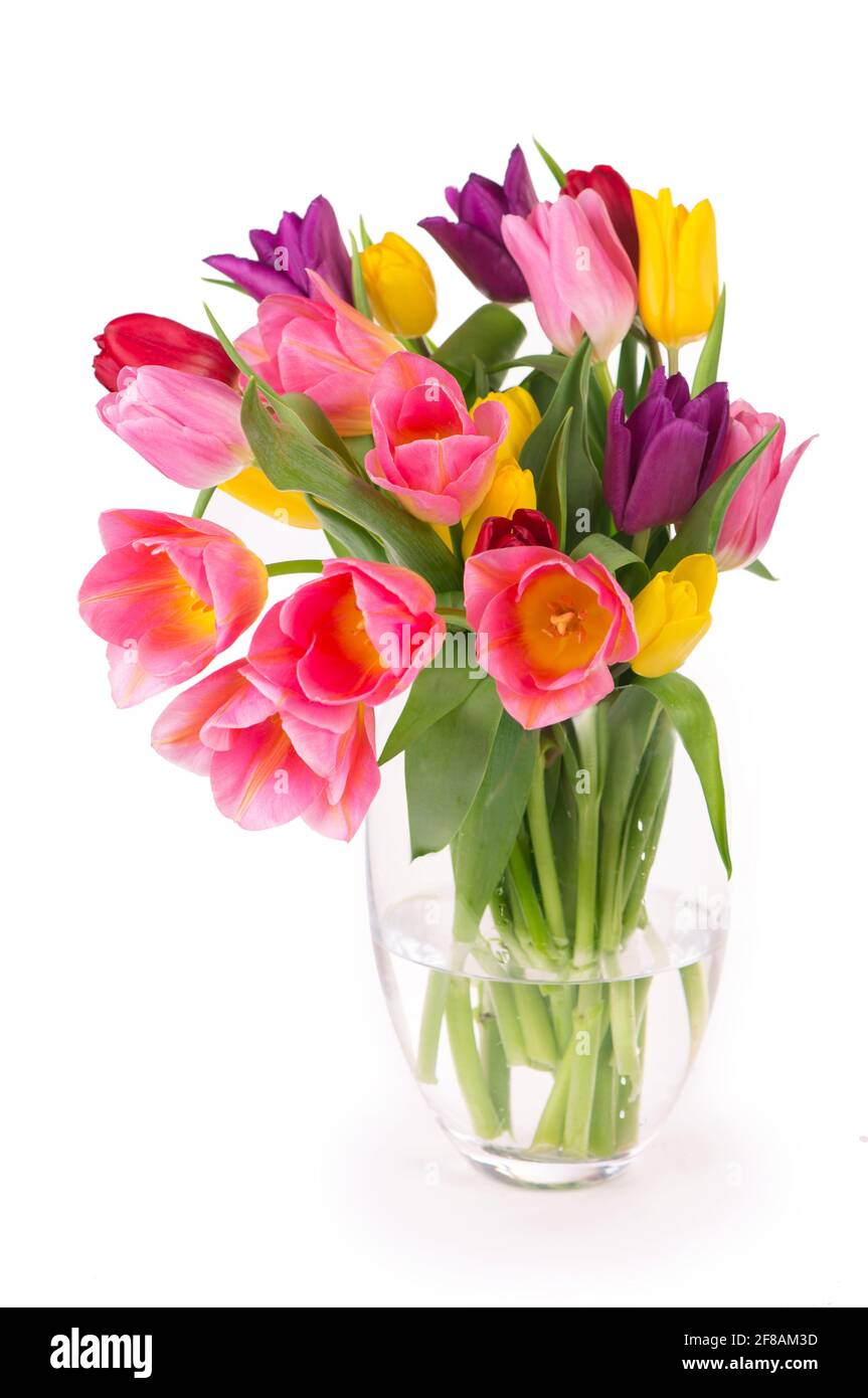 Festive spring banner fresh Cut Out Stock Images & Pictures - Alamy