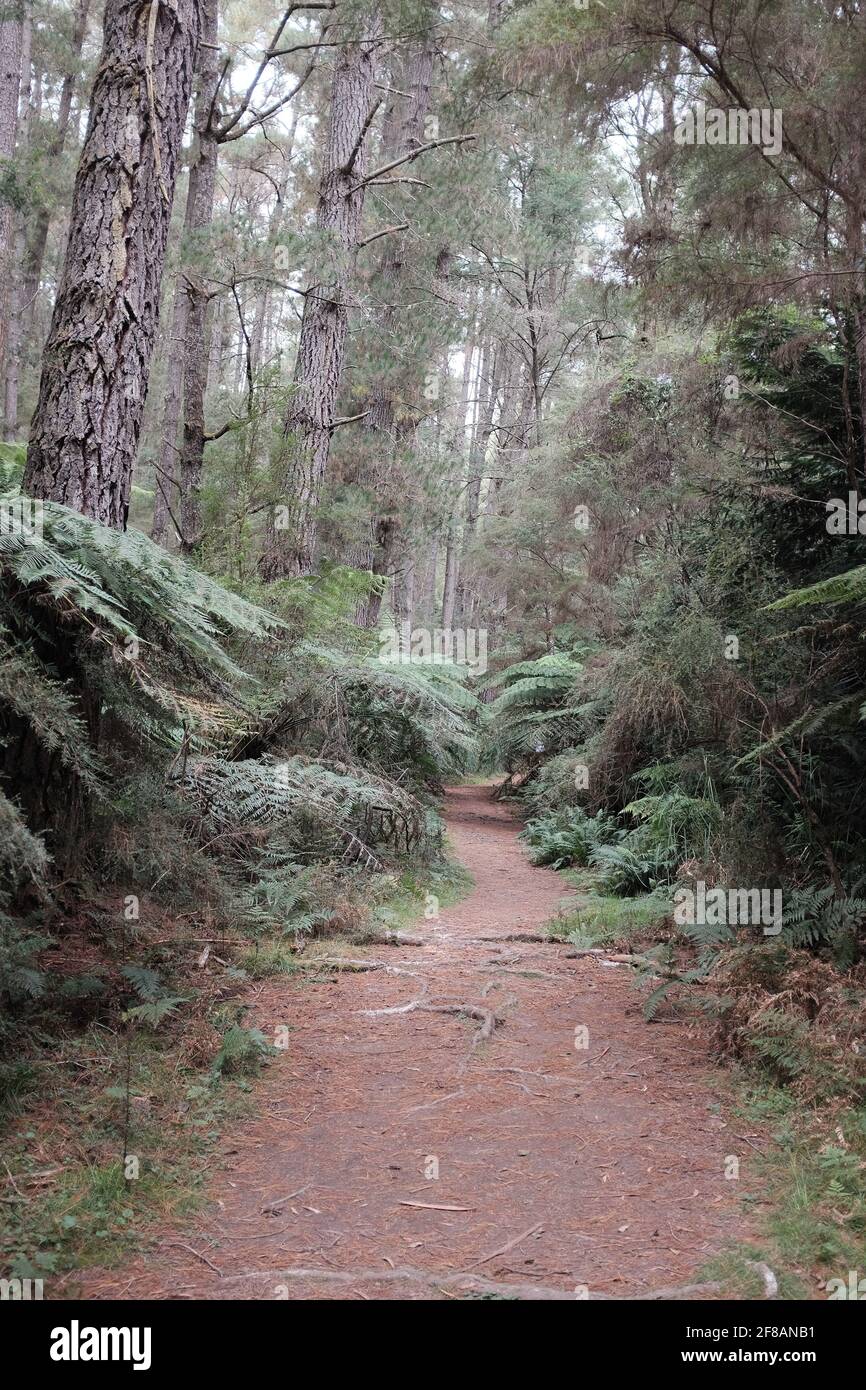 Warburton victoria australia hi-res stock photography and images - Alamy