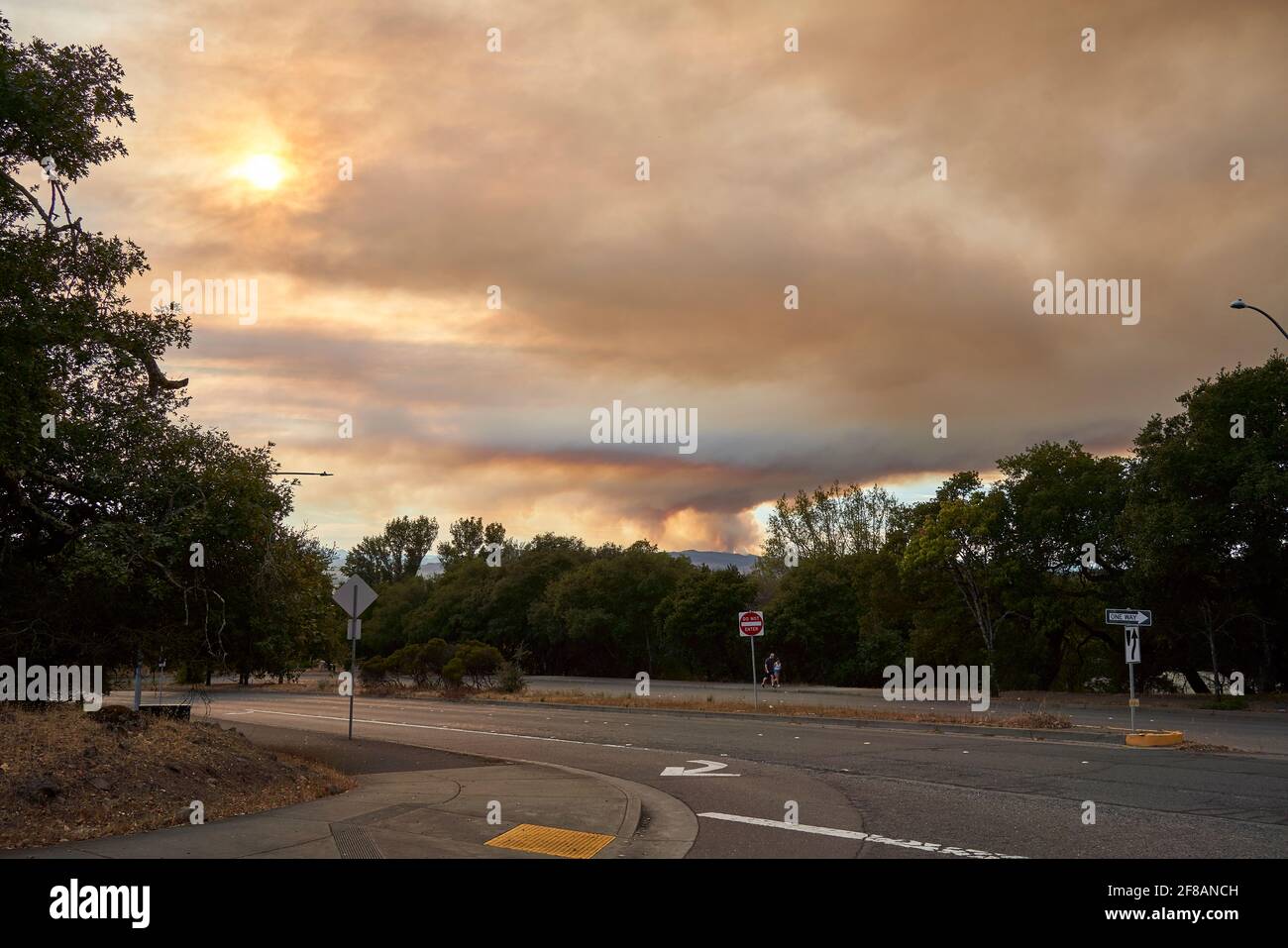 White and yellow smoke from the Walbridge Fire seen from Fountaingrove ...