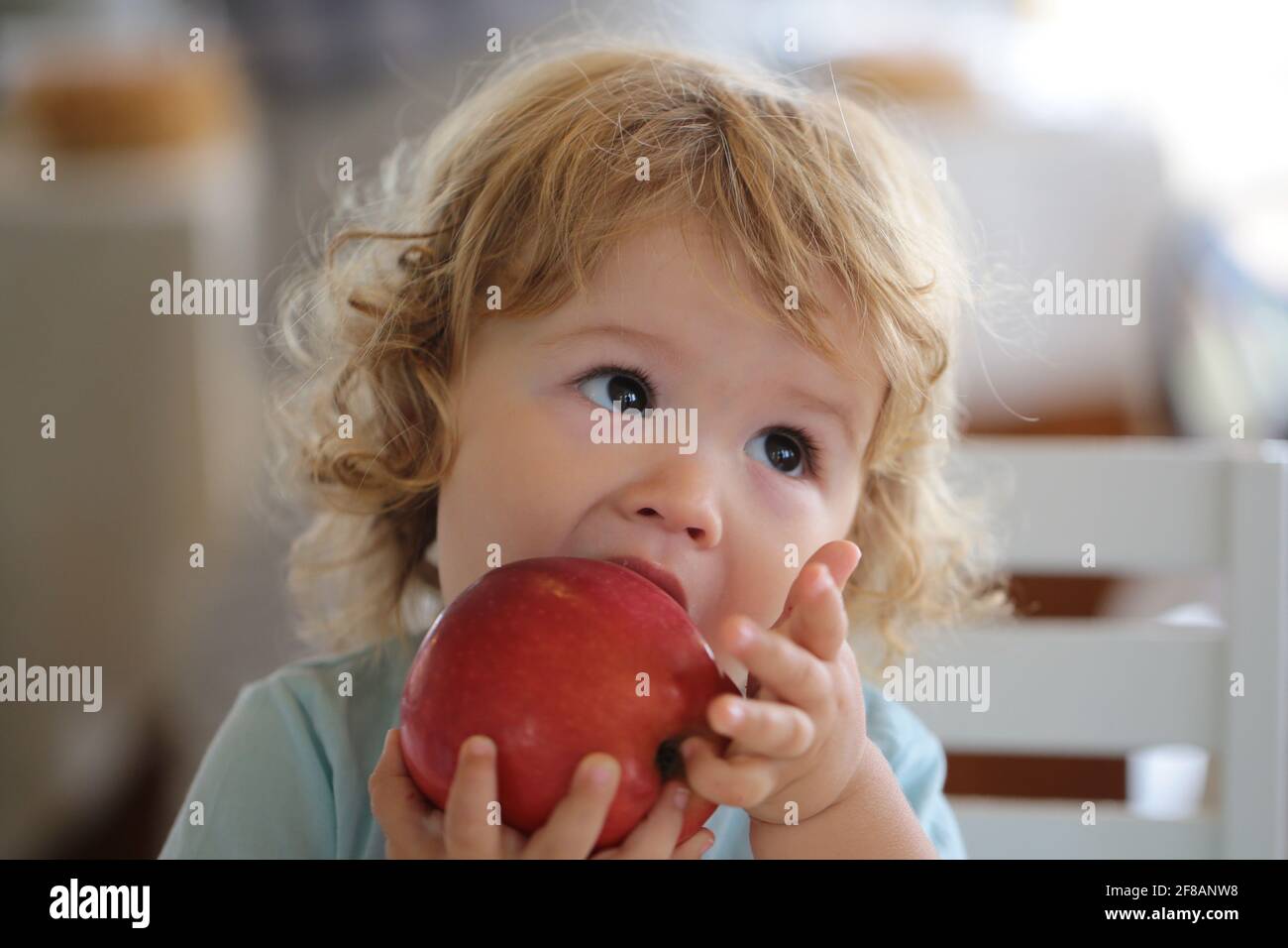 Cute baby eat apple. Portrait of cute adorable caucasian child kid ...