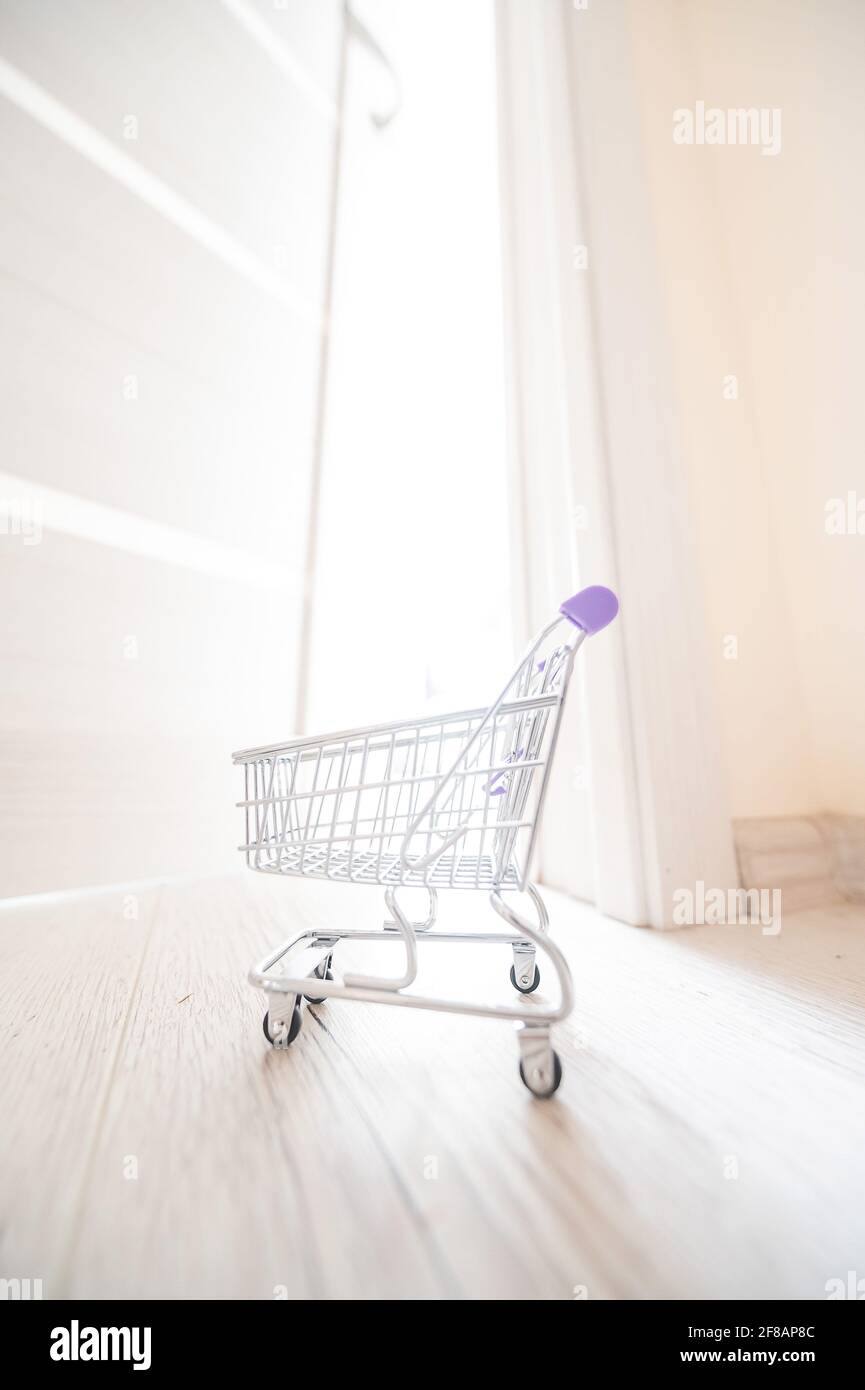 Grocery cart at the open door. Delivery of products. Mini trolley for ...