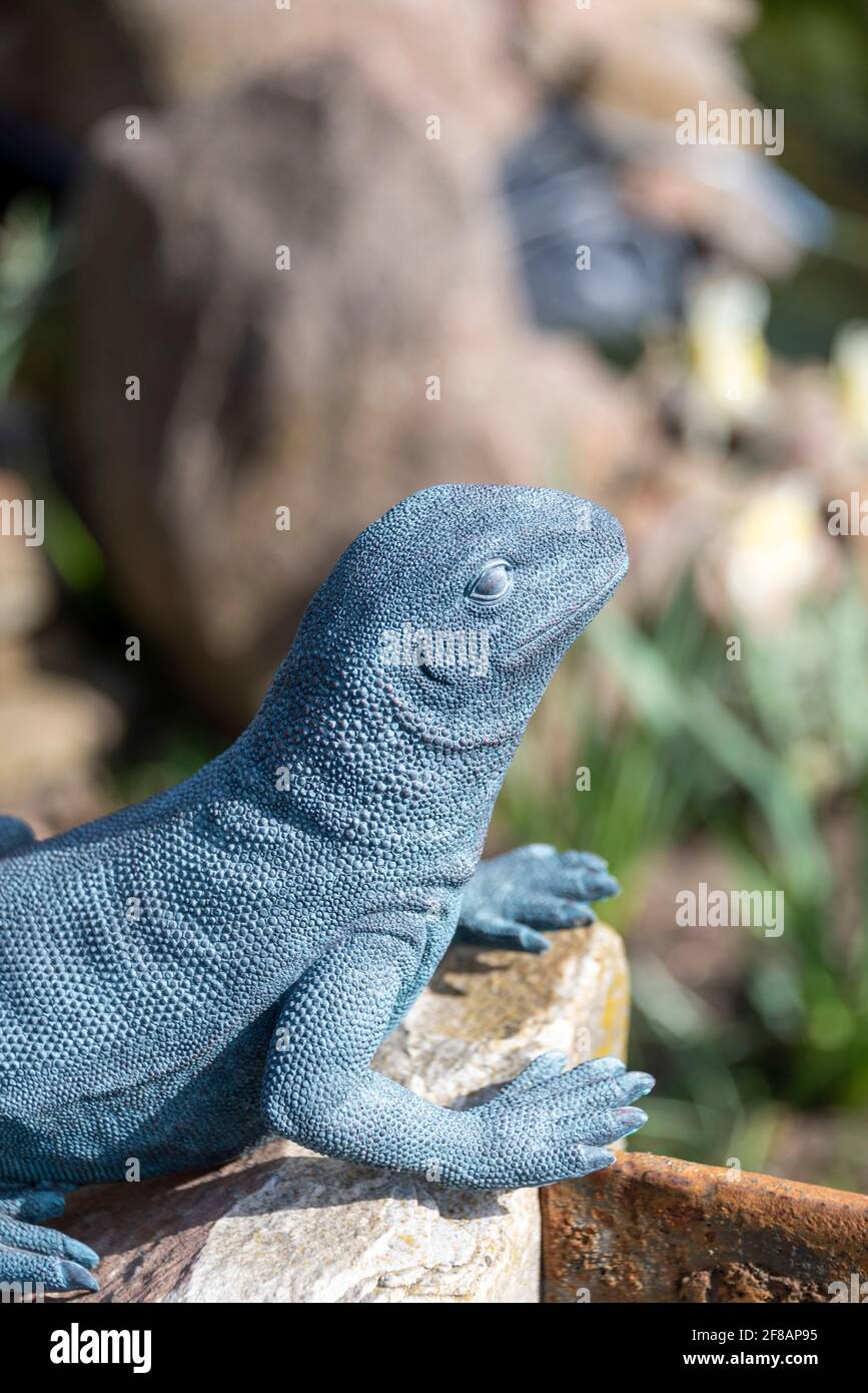 Metal lizard hi-res stock photography and images - Alamy