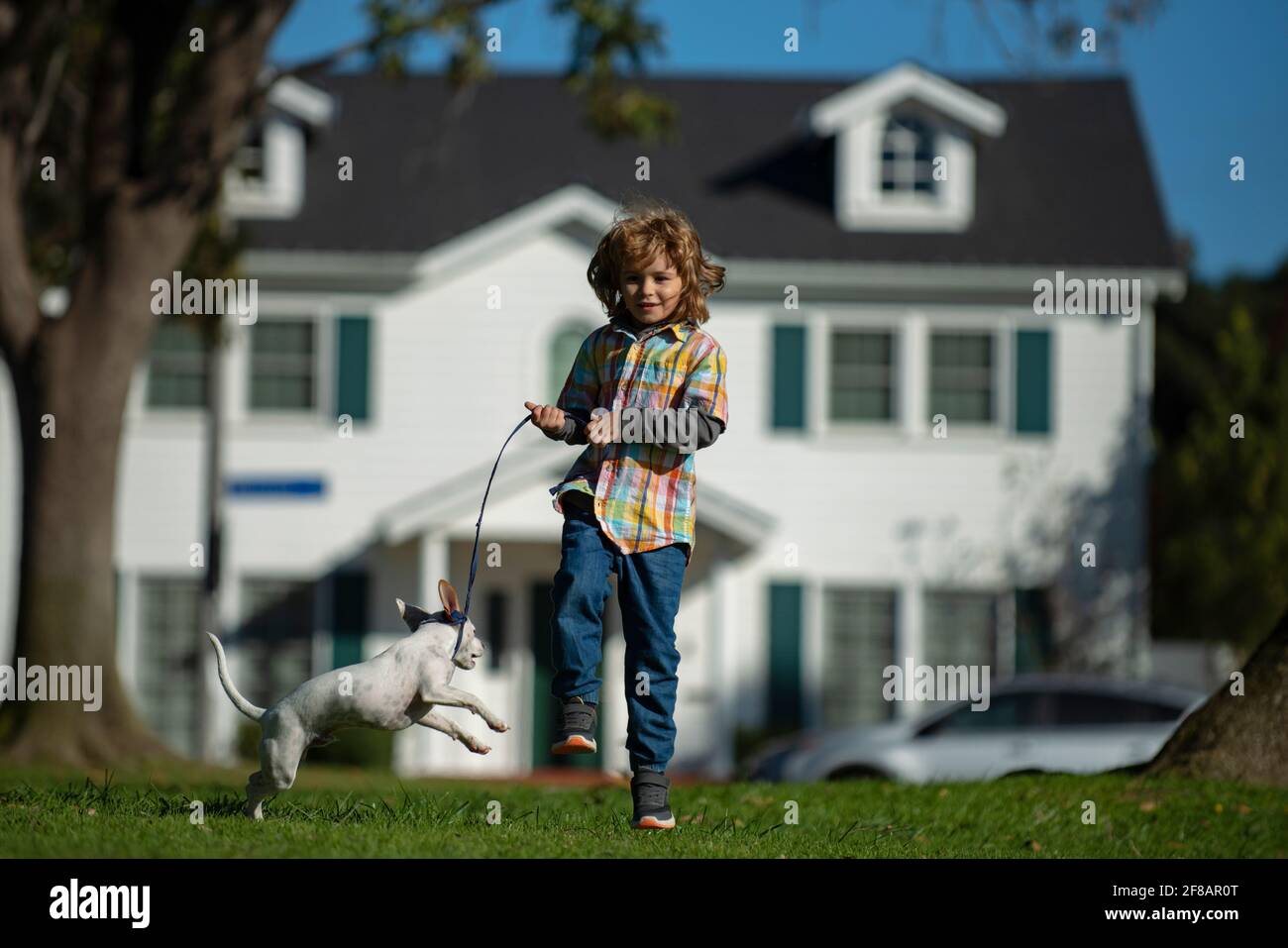 Child boy running with a dog. Happy kid with pet Stock Photo - Alamy