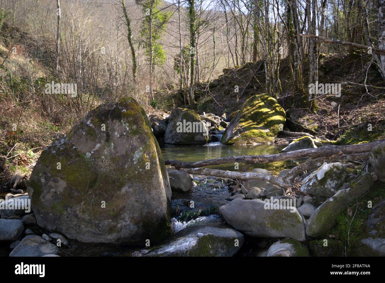 rocks in creek . Stream flowing water on early springtime Stock Photo ...