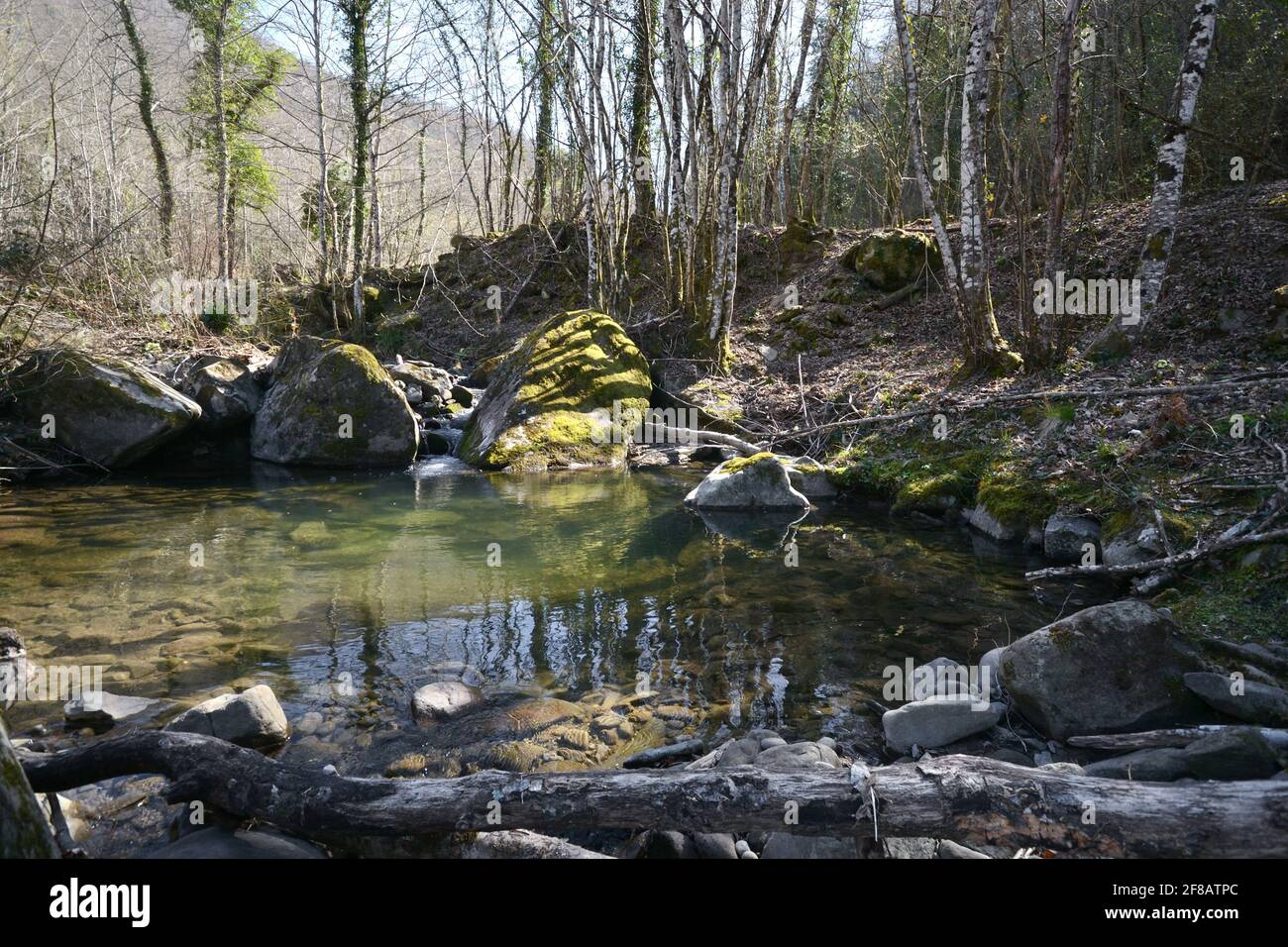 rocks in creek . Stream flowing water on early springtime Stock Photo ...