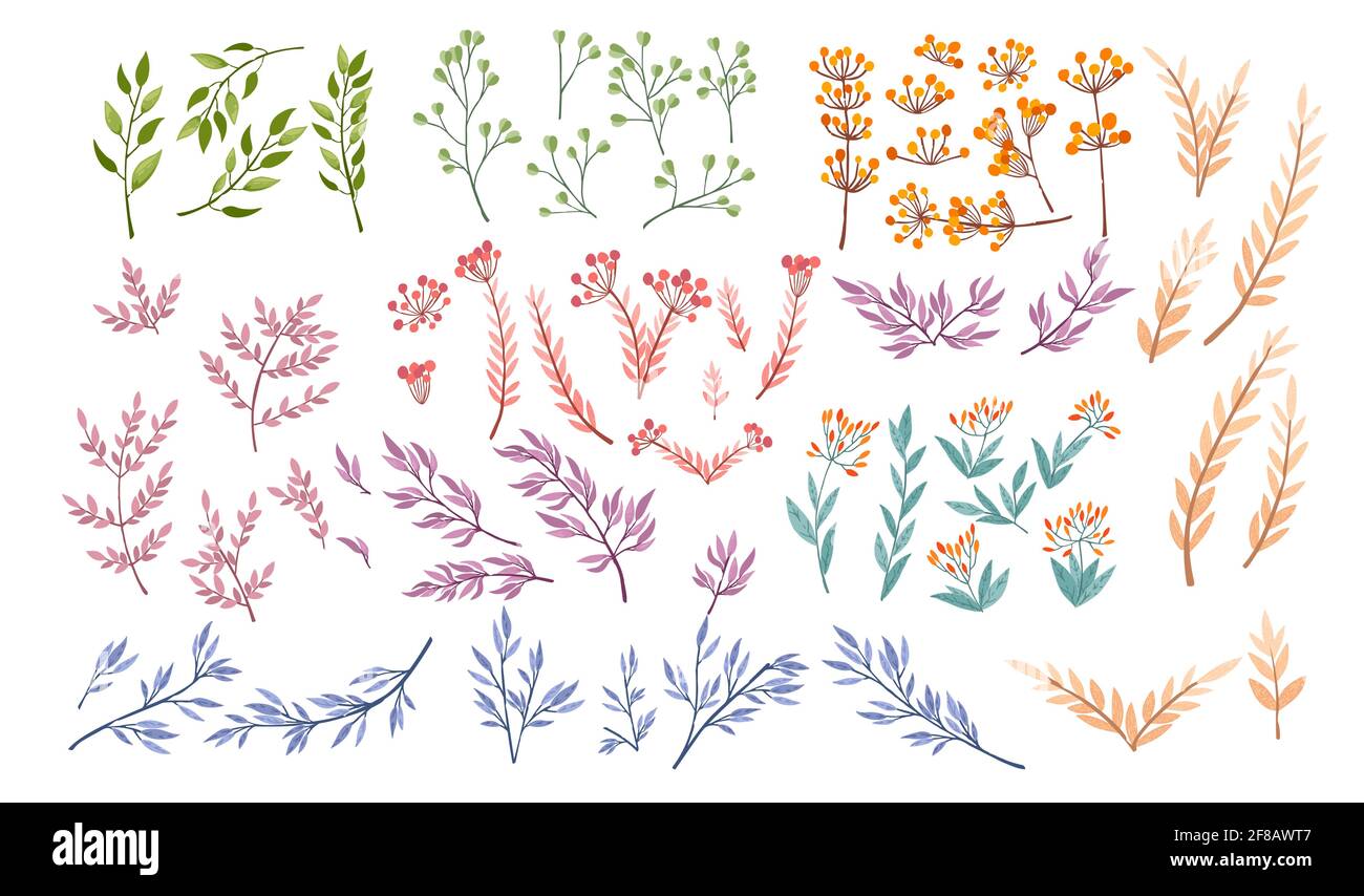 Set of various colored plants vector illustration isolated on white ...
