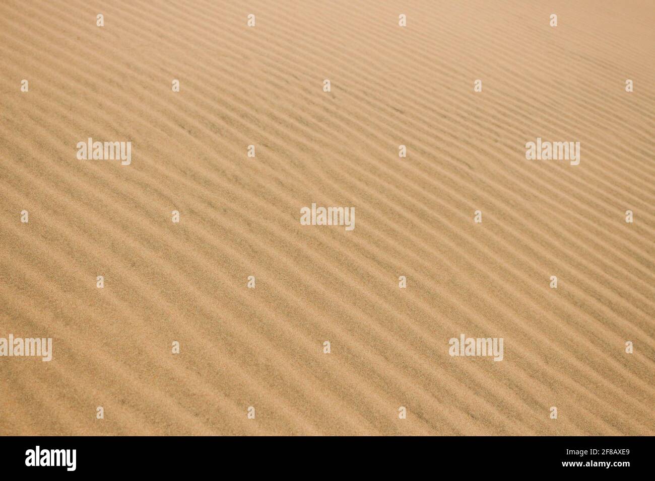sand dunes in saudi arabia Stock Photo - Alamy