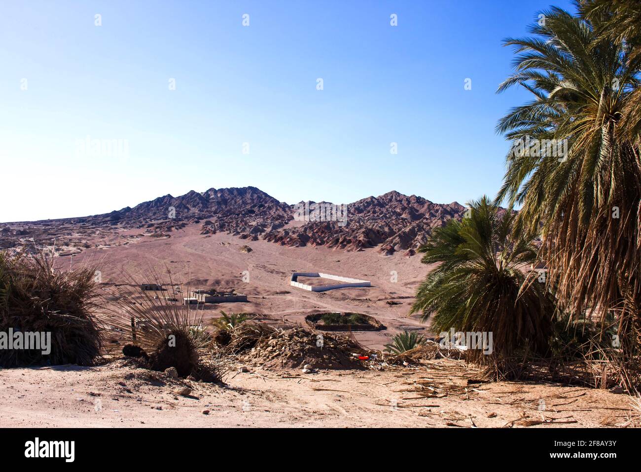 Saudi Arabian farm land Stock Photo - Alamy