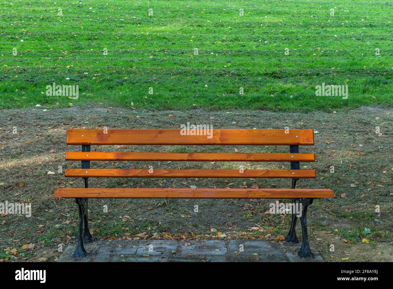 Single Park Bench in the Morning Stock Photo - Alamy