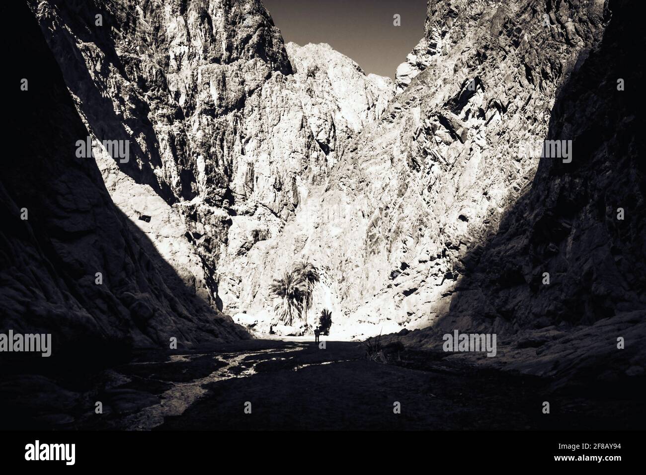 Wadi Tayyib Al Ism Magna, Saudi Arabia Stock Photo - Alamy