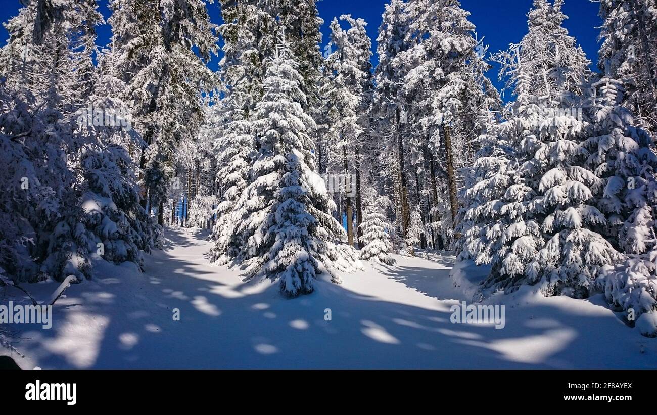 Beautiful winter landscape in mountains hi-res stock photography and ...