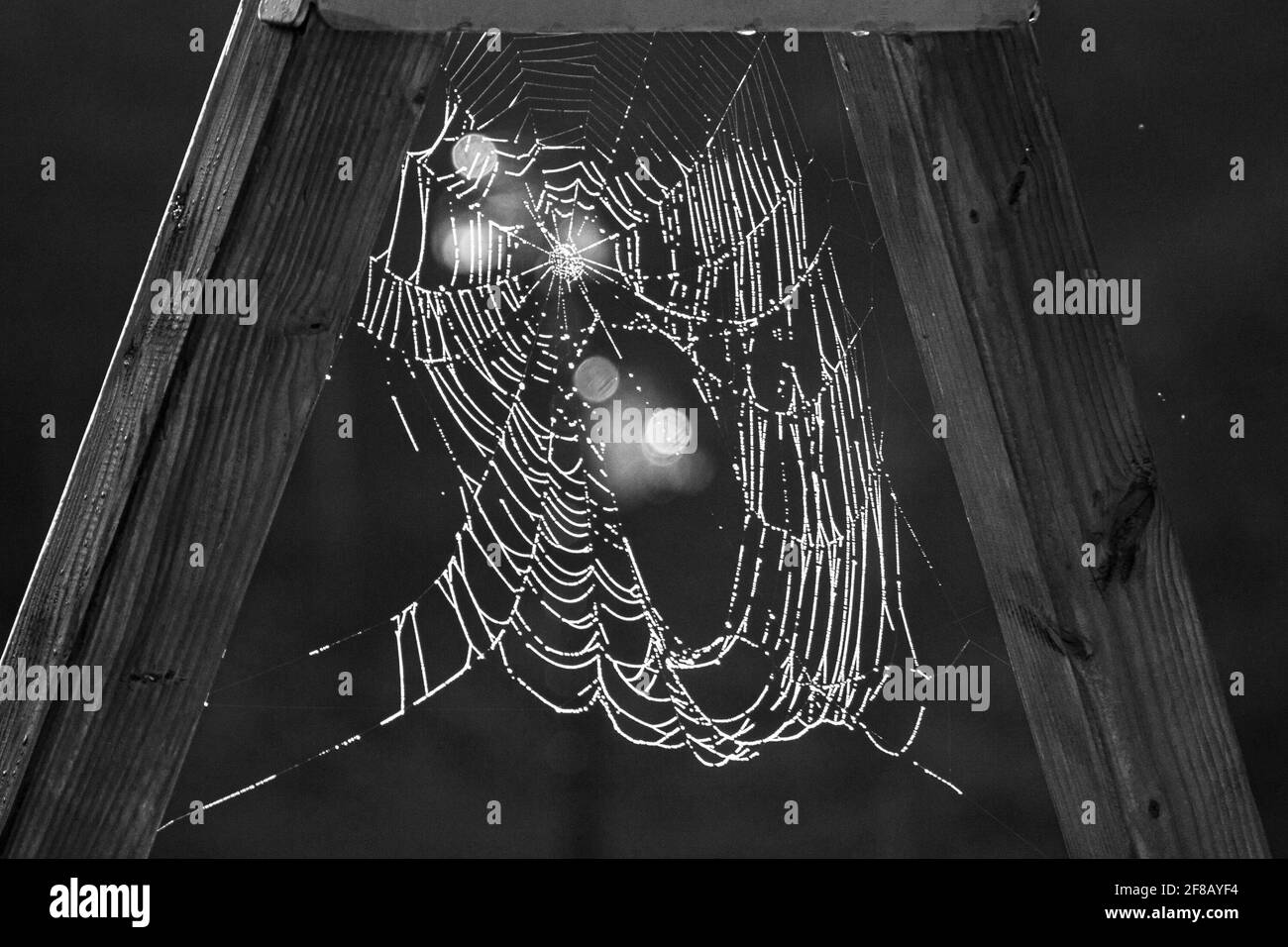 Greyscale shot of a spider web on a wooden stool Stock Photo - Alamy