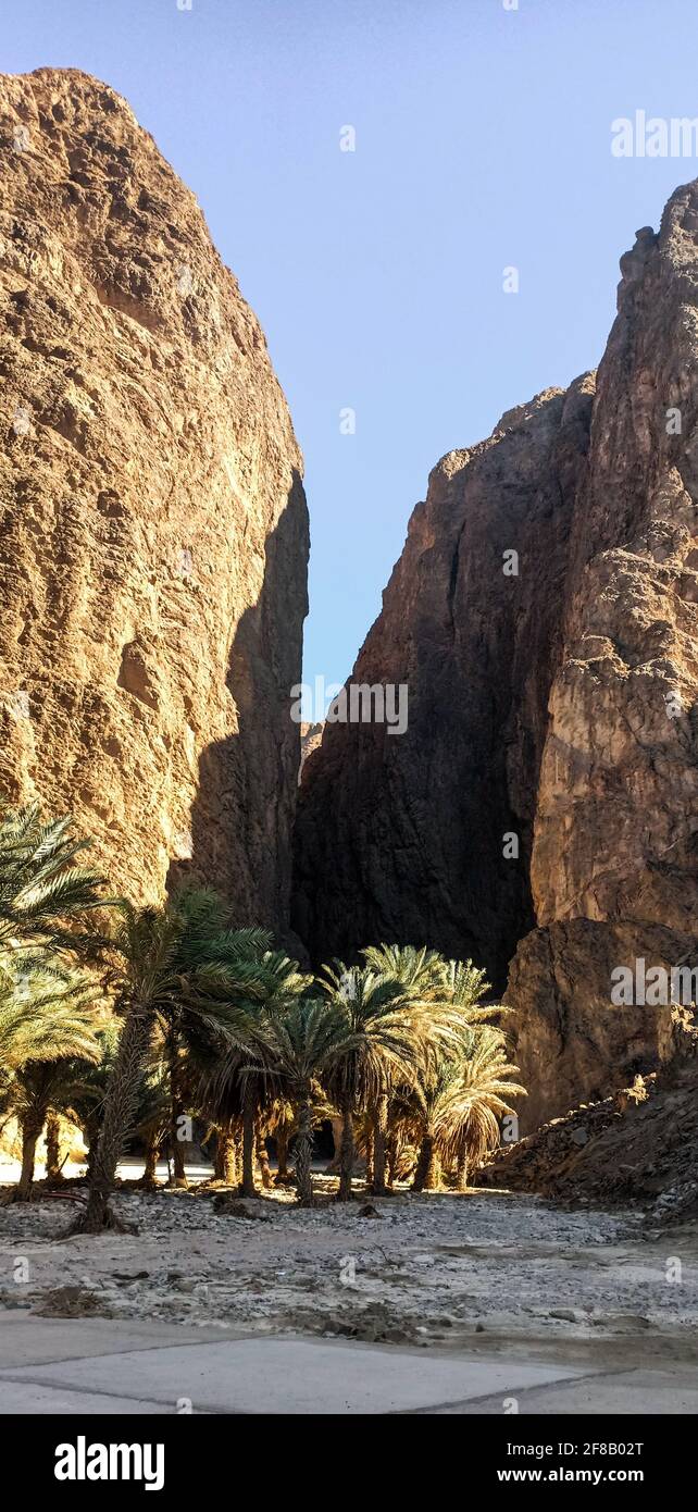 Wadi Tayyib Al Ism Magna, Saudi Arabia Stock Photo - Alamy