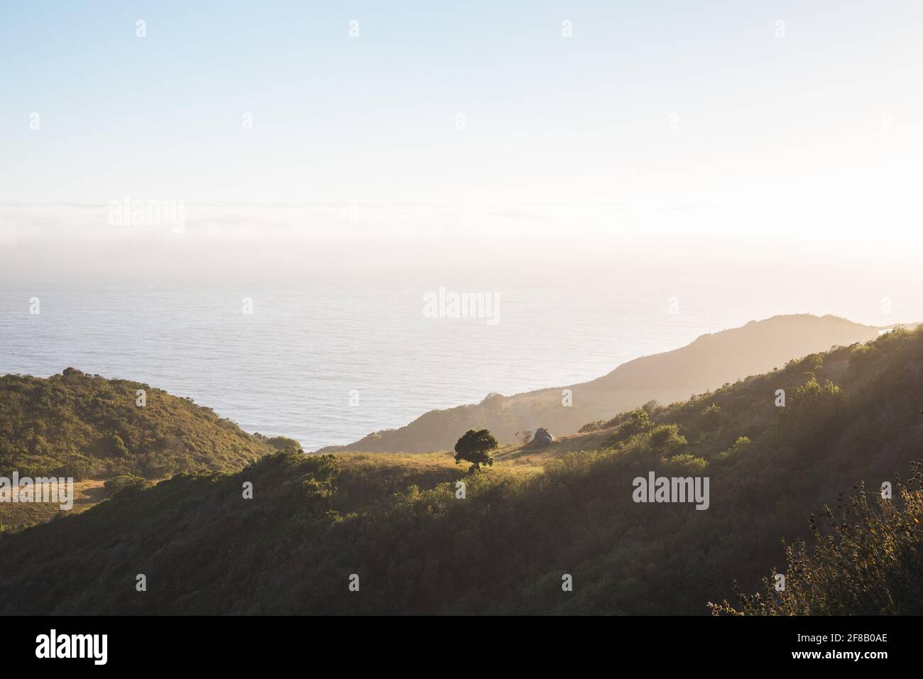 Point sur lightstation hi-res stock photography and images - Alamy