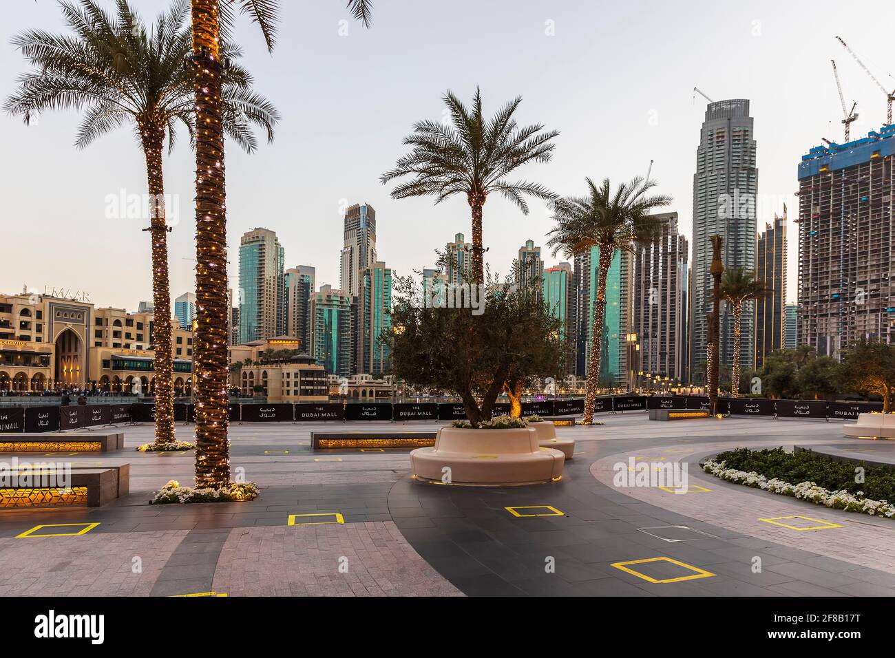 Dubai, UAE - March 04, 2021: Palm trees illuminated by light on the ...