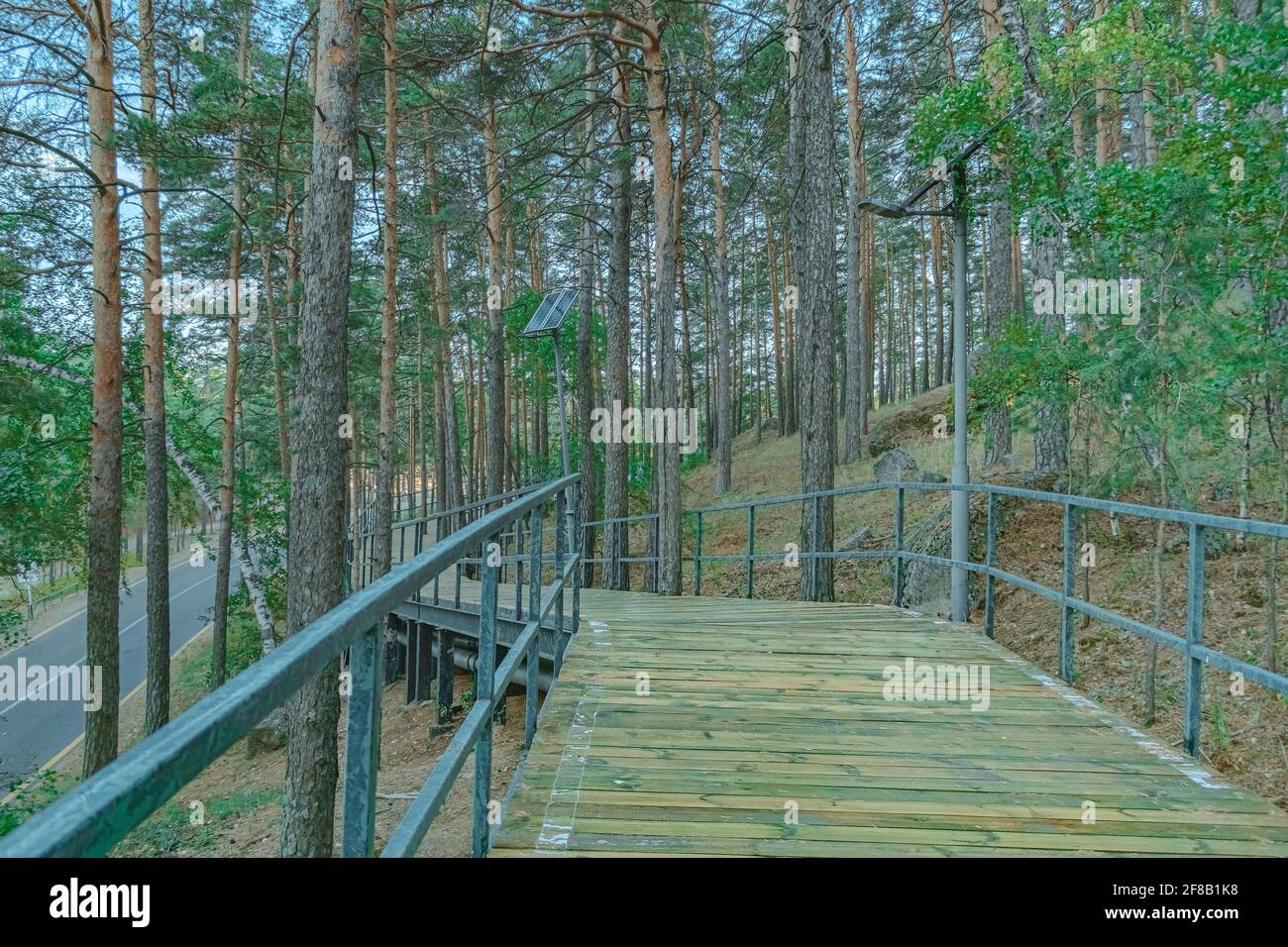 pedestrian wooden road along the motor road in the forest. walking path ...