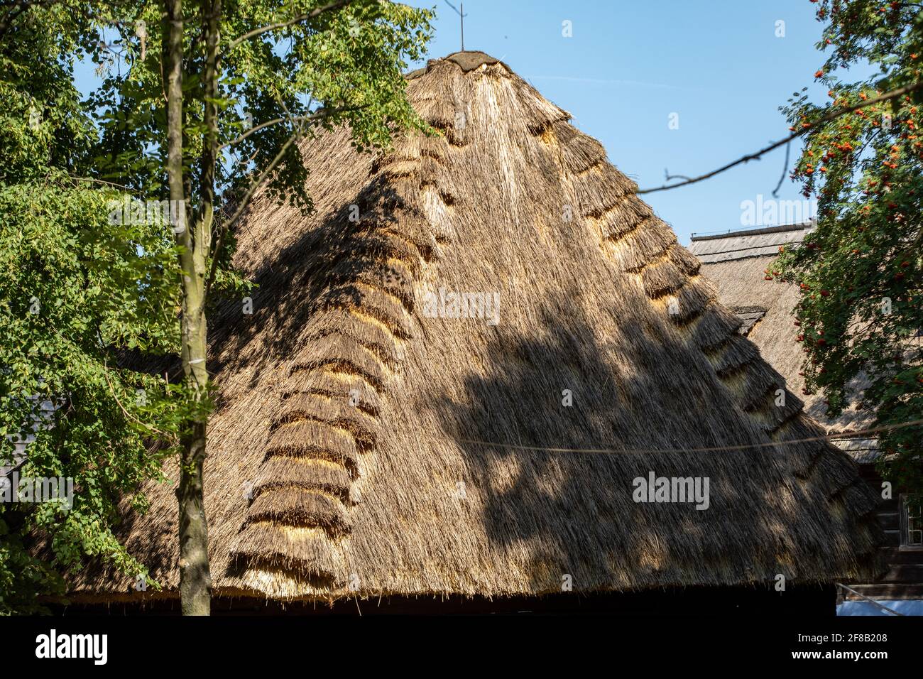Detail of traditional thatched roof from straw or reed on sunny summer ...