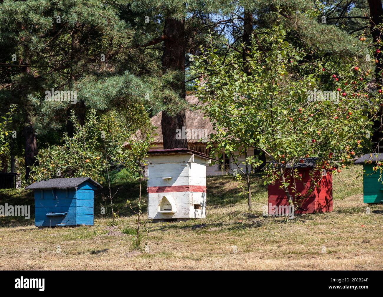 An apiary with old wooden hives in a rural garden Stock Photo - Alamy