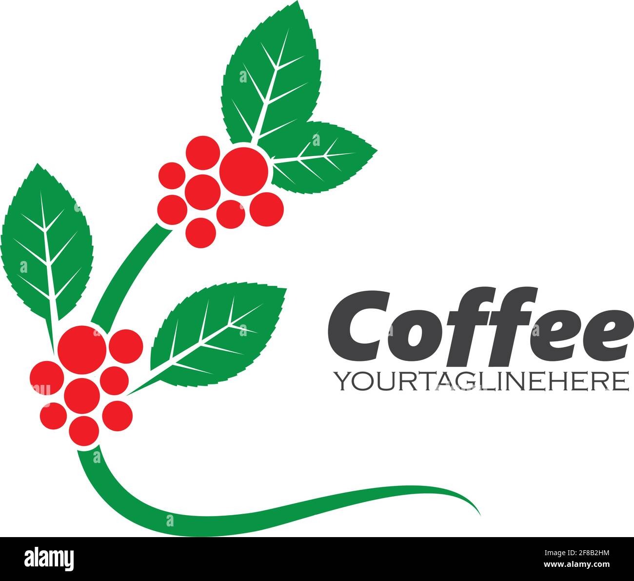 Coffee Plant Vector