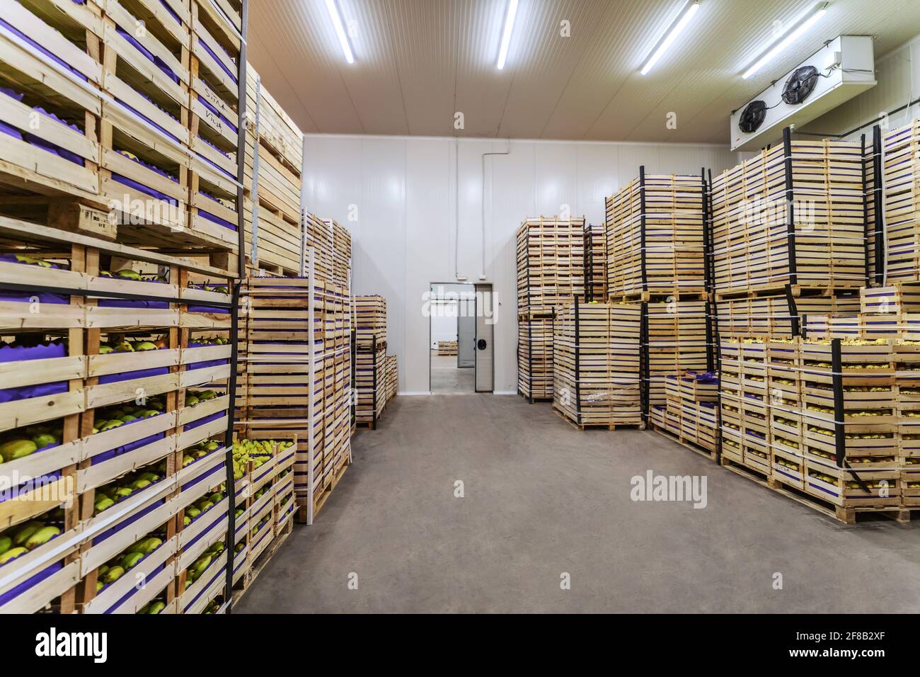 Fruits in crates ready for shipping. Cold storage interior Stock Photo ...