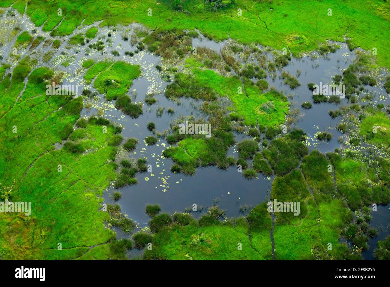 Aerial landscape in Okavango delta, Botswana. Lakes and rivers, view ...