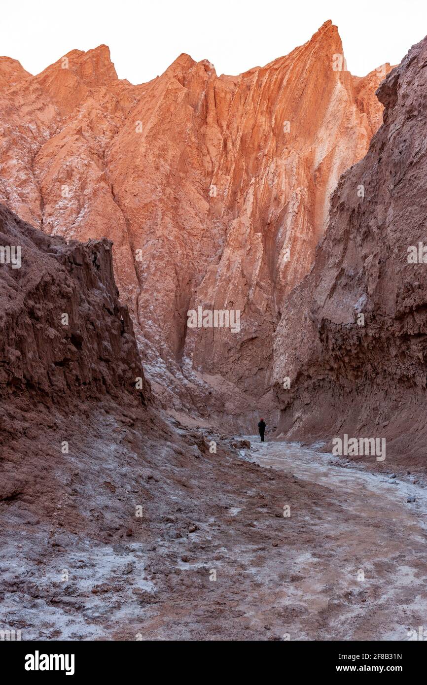 Dawn light on the walls of Cari Canyon near San Pedro de Atacama in the ...