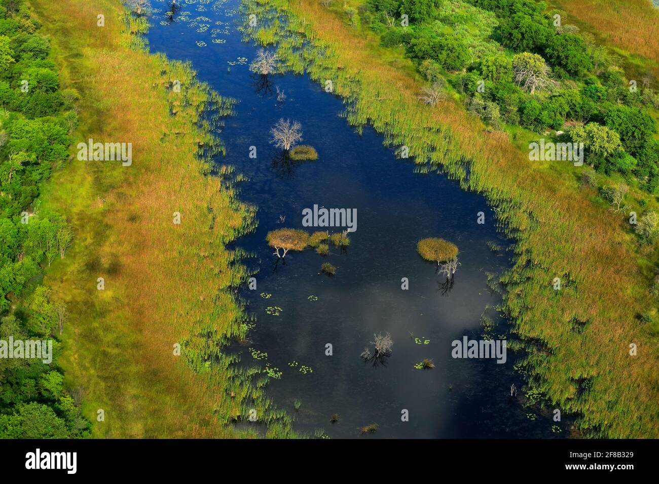 Aerial landscape in Okavango delta, Botswana. Lakes and rivers, view ...