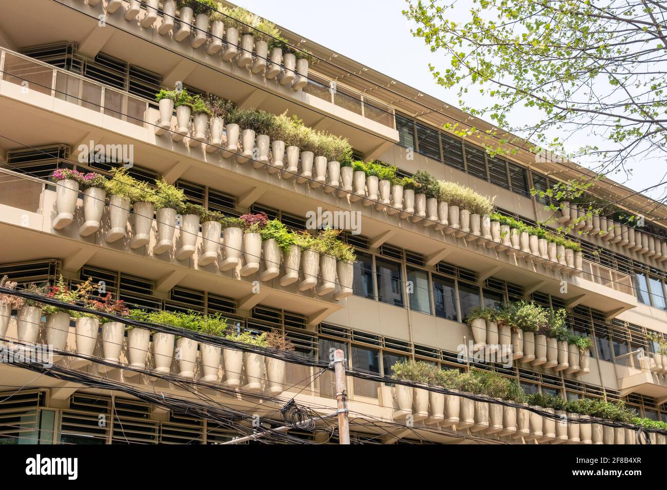 SHANGHAI, CHINA - APRIL 13, 2021 - A newly built building in downtown ...