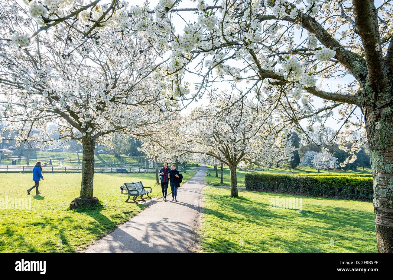 Few walk spring hi-res stock photography and images - Alamy
