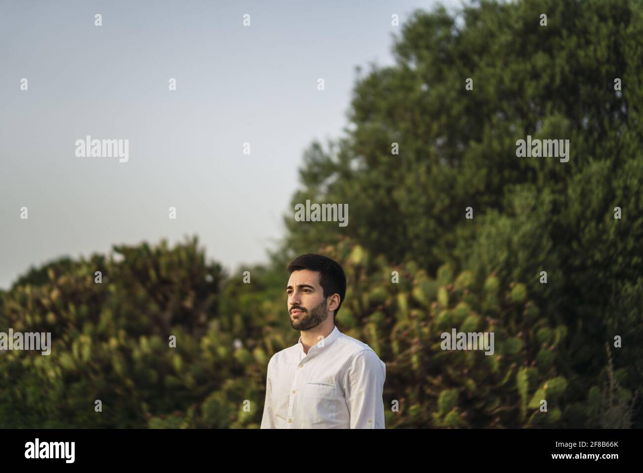 Shallow focus of an adult Caucasian man with a beard wearing a white ...