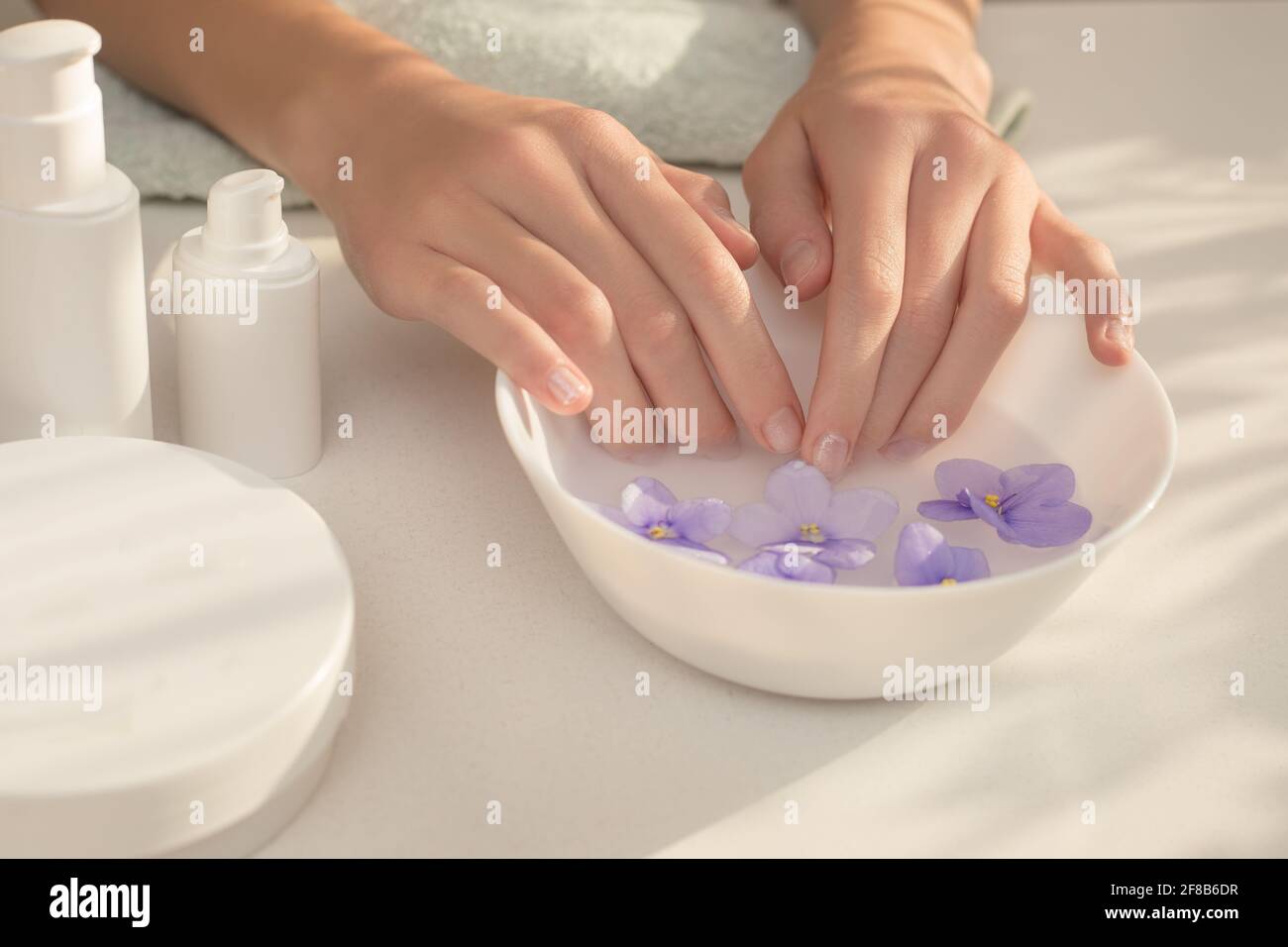 Elegant, well-groomed female hands with long fingers. Skin care ...