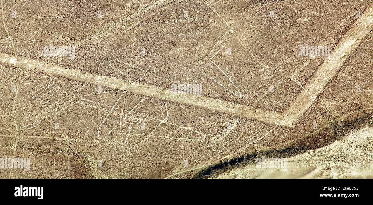 The whale, Nazca or Nasca mysterious lines and geoglyphs aerial view ...