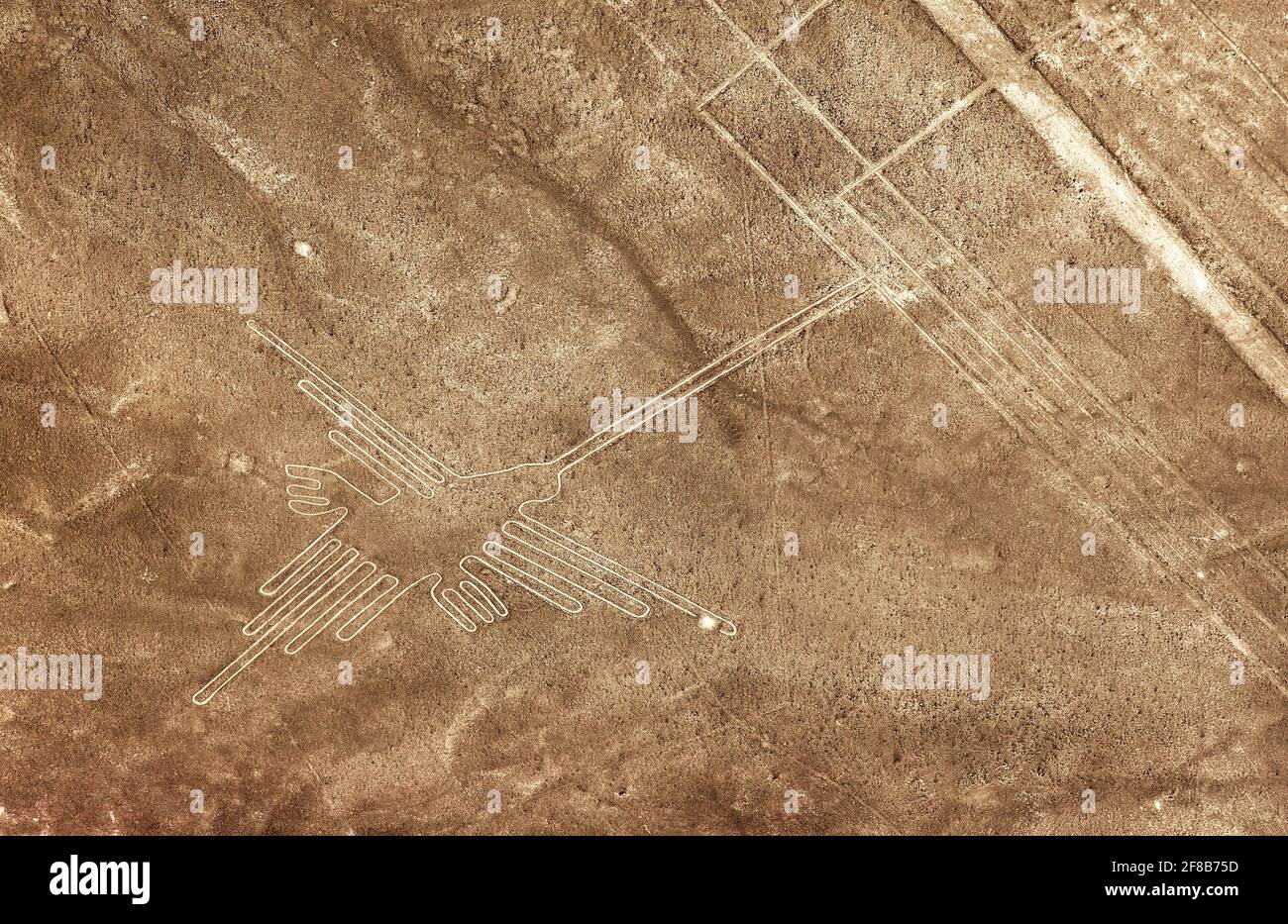 Hummingbird geoglyph sepia colored, Nazca or Nasca mysterious lines and ...