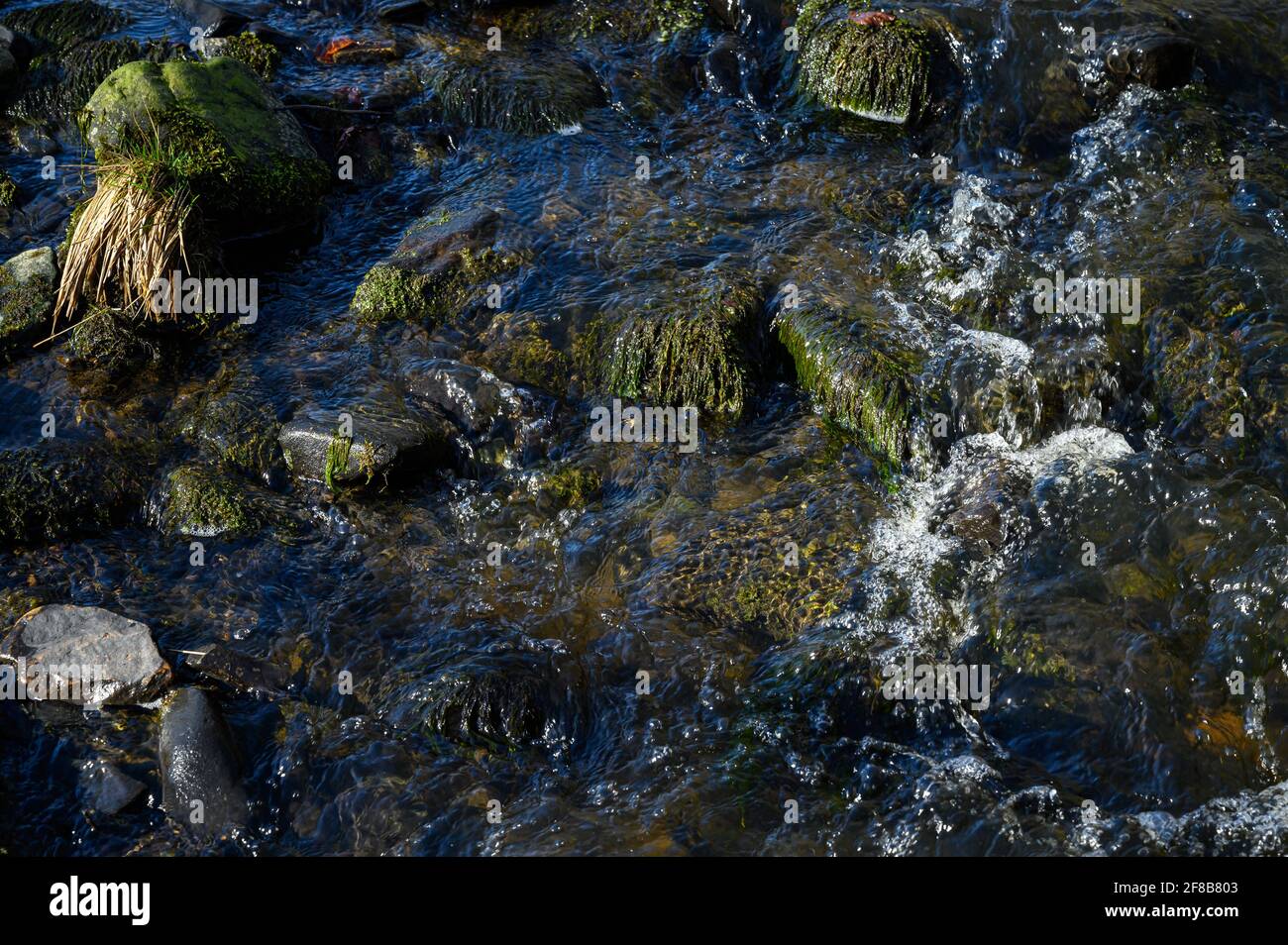 Babbling Brook - Black Moss Reservoirs, Barley Mow, Lancashire Stock ...