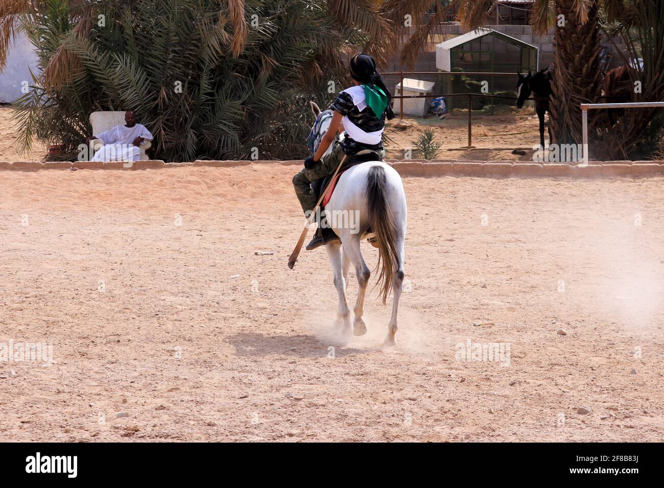 souk okaz cultural festival in taif, saudi arabia Stock Photo - Alamy