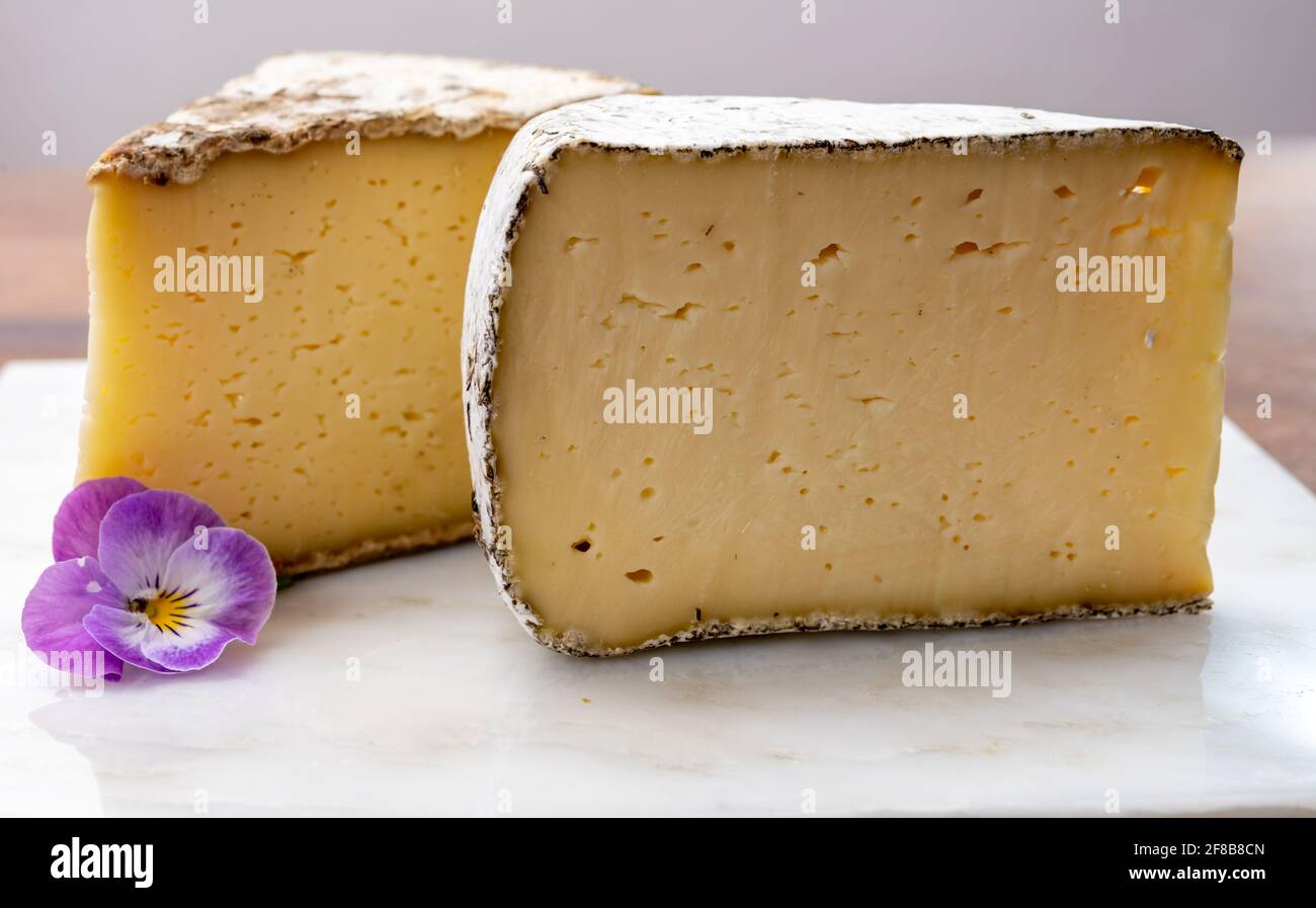 Cheese collection, Tomme de Savoie cheese from Savoy region in French ...