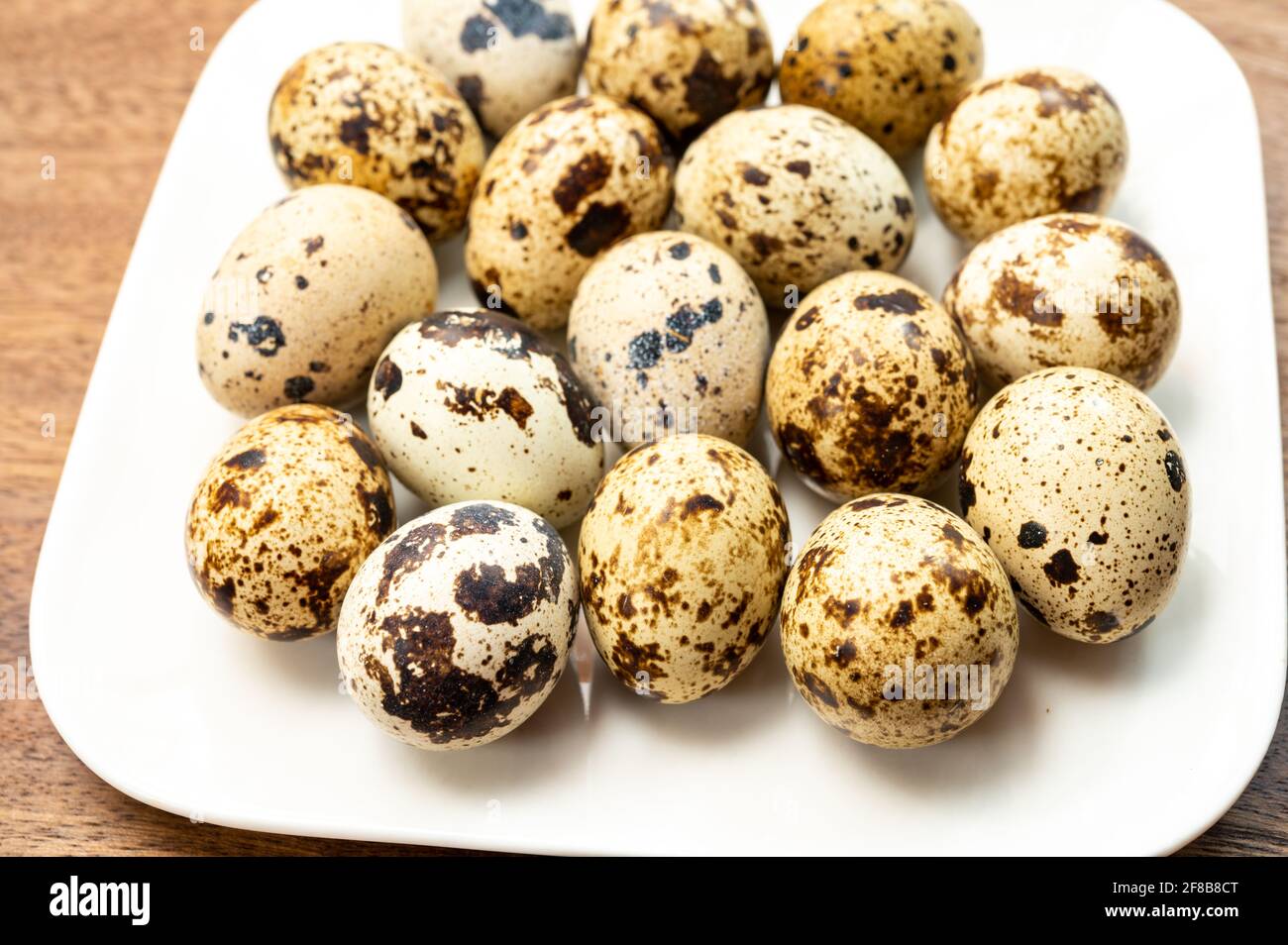 Fresh small spotted partridge eggs on white board close up Stock Photo ...
