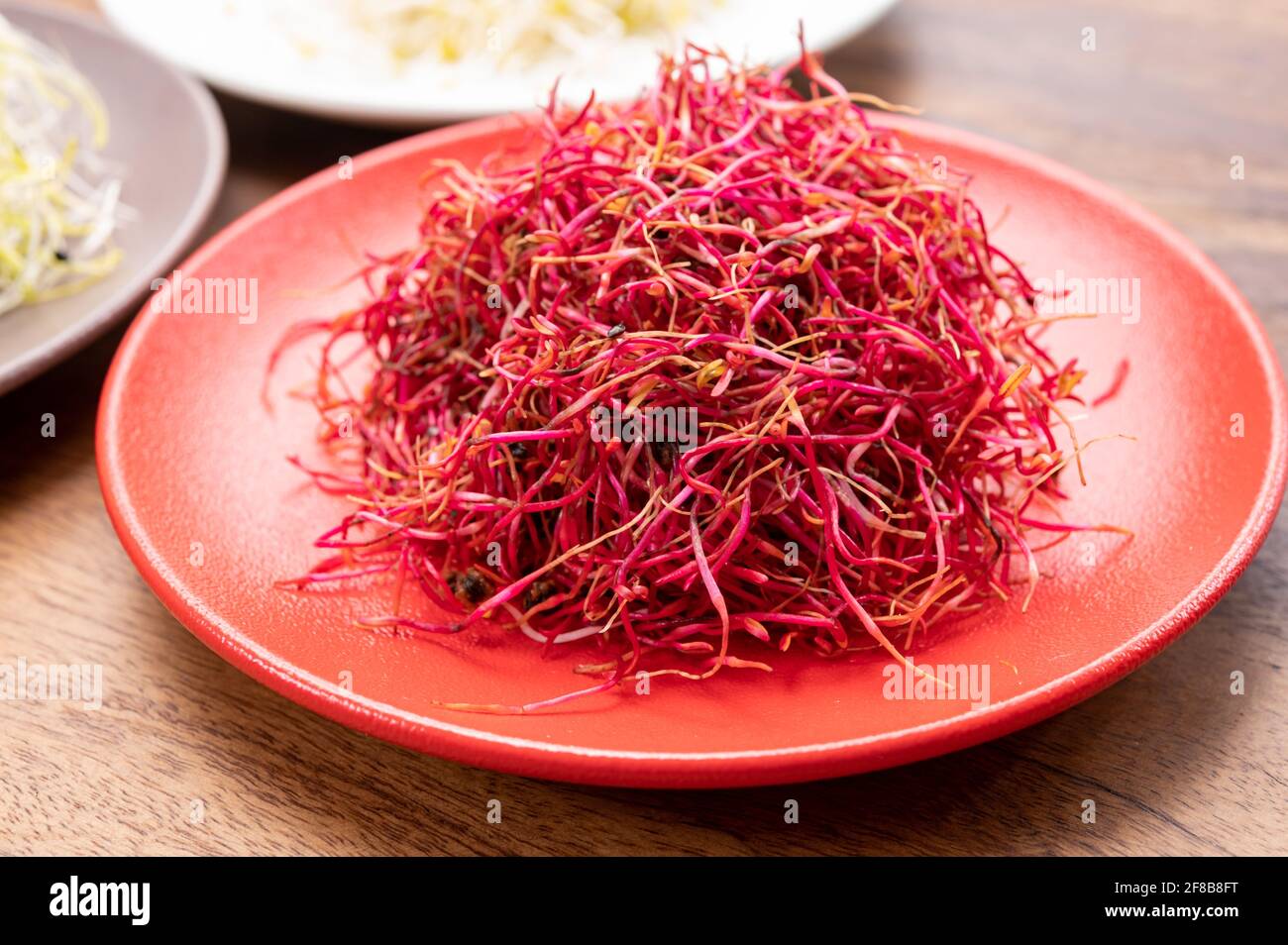 Healthy food, young sprouts plants of red beet ready for consumption ...