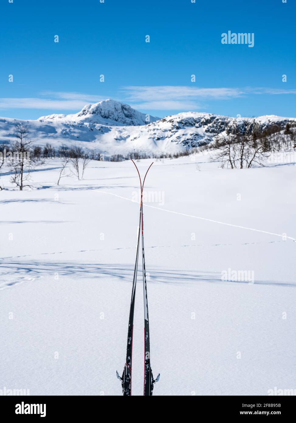 Ski mountaineering, snowy mountains hi-res stock photography and images ...