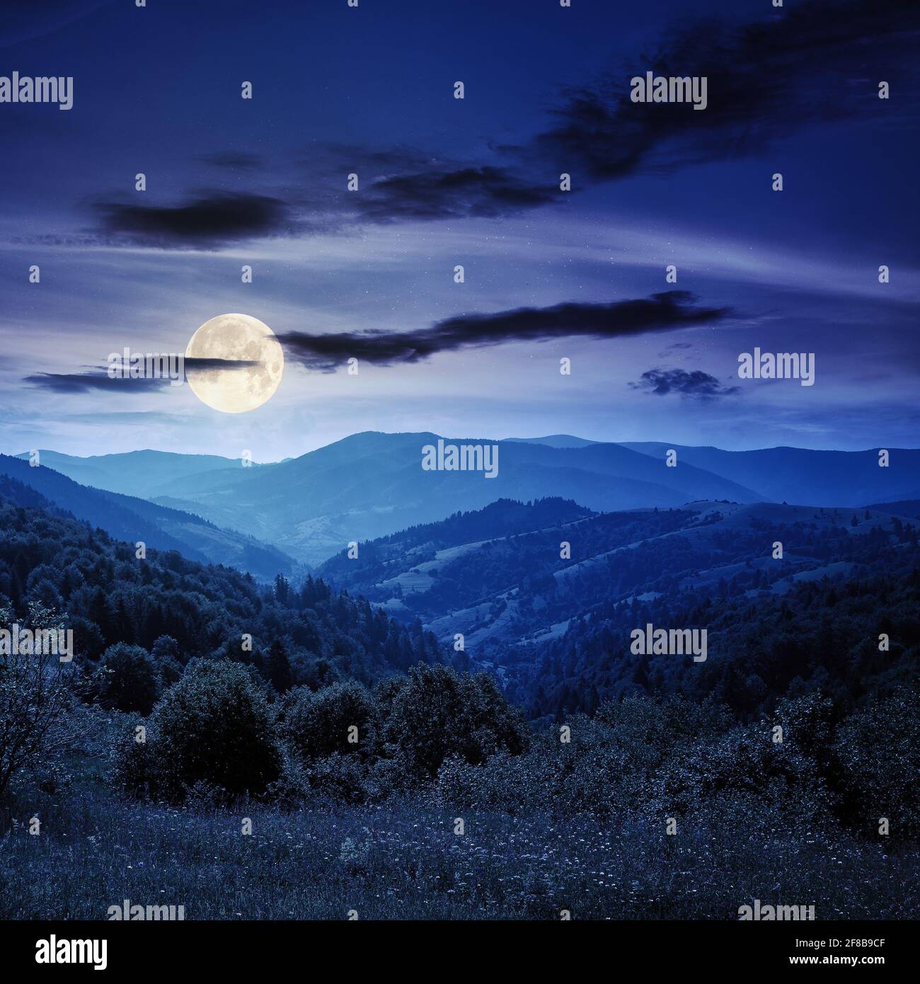 countryside landscape in summer at night. beautiful nature scenery with ...