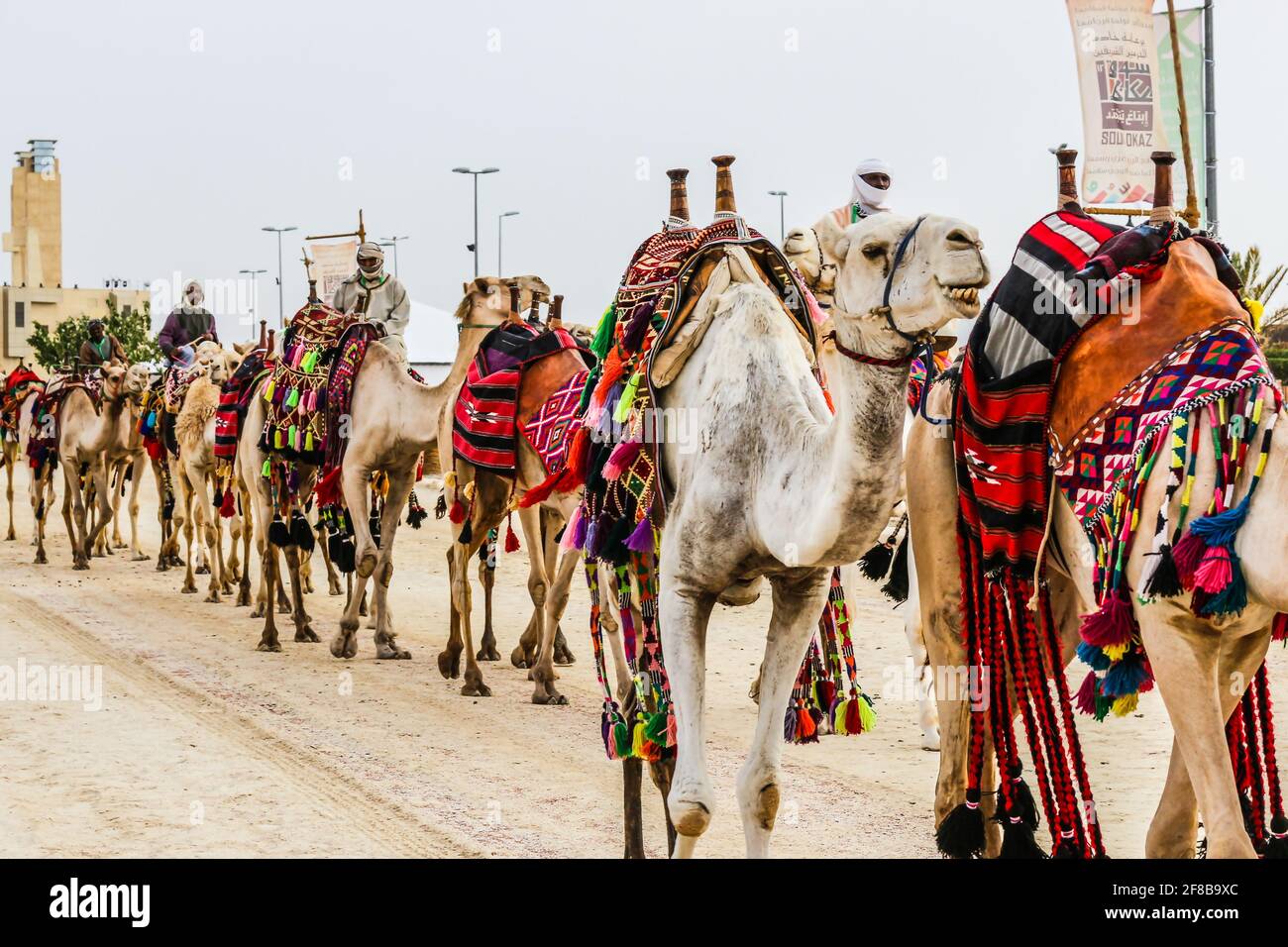 souk okaz cultural festival in taif, saudi arabia Stock Photo - Alamy
