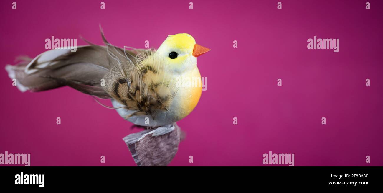 Artificial bird on purple background Stock Photo - Alamy