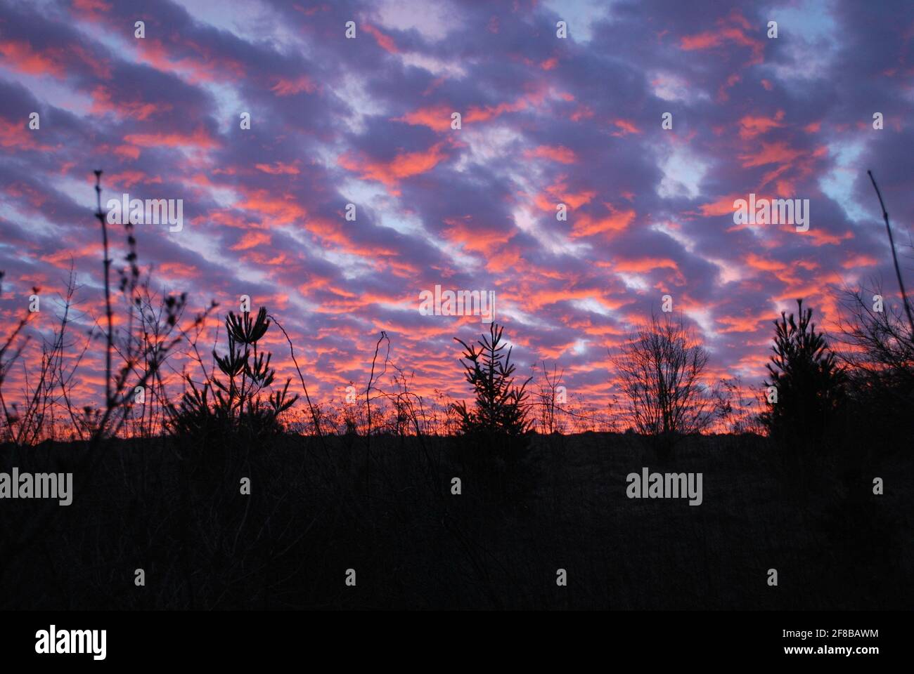 Purple and pink landscape art hi-res stock photography and images - Alamy
