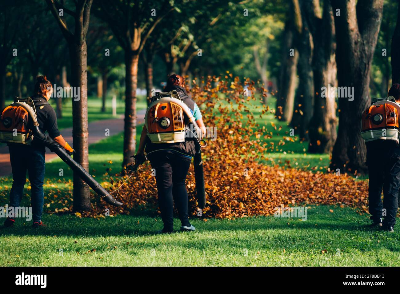 Woman blowing leaves leaf blower hi-res stock photography and images ...