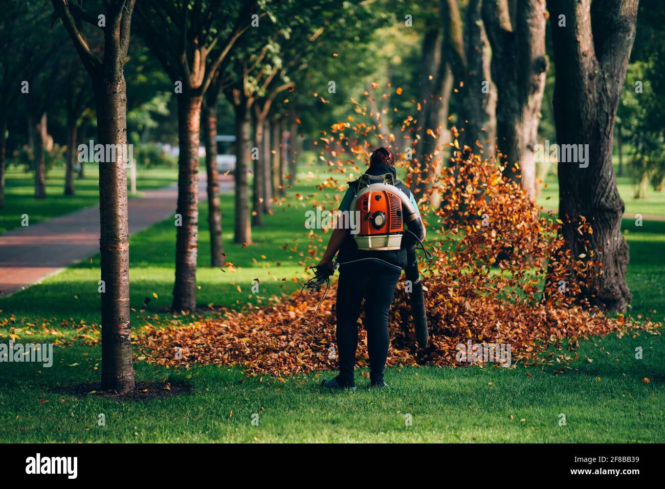 Woman blowing leaves leaf blower hi-res stock photography and images ...