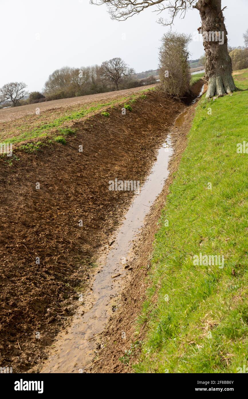 Recently cleared drainage ditch drain water from fields to River Deben ...